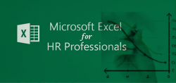 Excel techniques for HR - Learn Microsoft Excel for Human Resource Usage