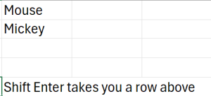 4 Ways To Use The Enter Key in Excel: How To Tutorial